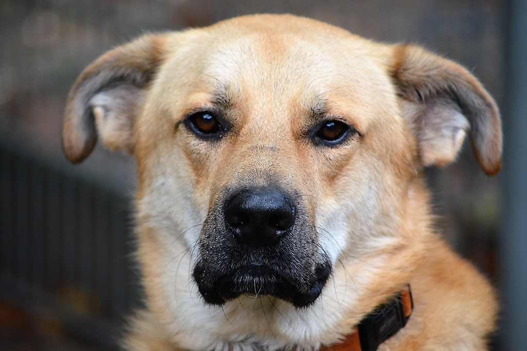 Unsere Tiere